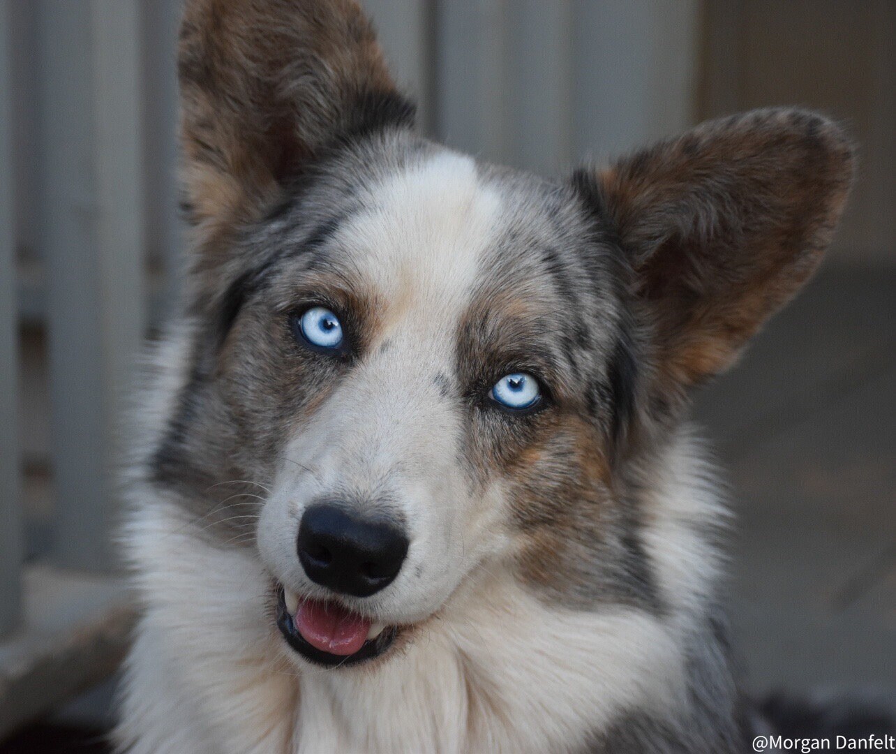 Its All About the BEEZ - Etsy