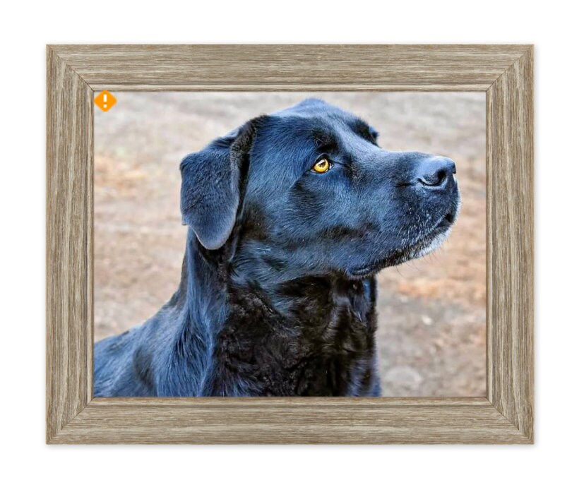 Black Lab - Etsy