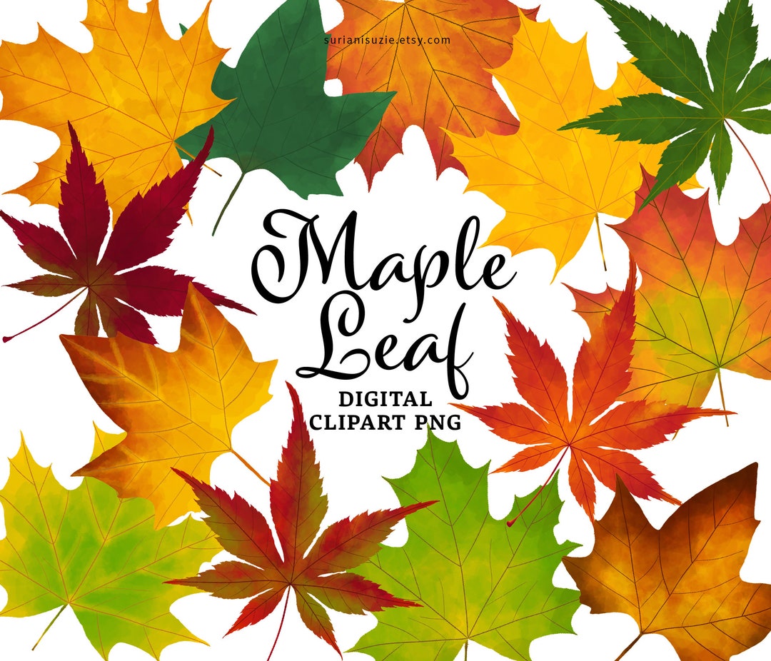 Watercolor Maple Leaf Digital Clipart PNG, Dry Leaf, Summer and Fall ...