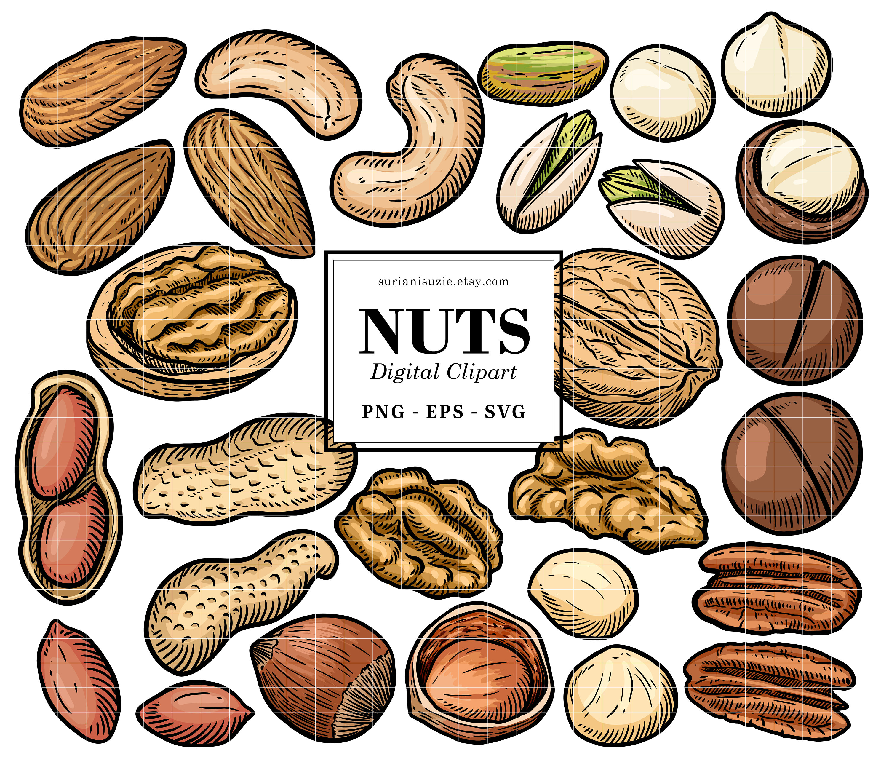 Nuts Cliparts, PNG, SVG, EPS Vector Graphics, Different Types of Nuts Clip Art, Hand Drawn ...