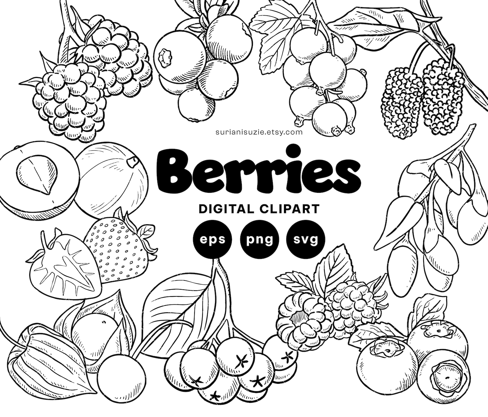 Berries Line Art Digital Clipart Illustrations, Black and White Hand ...