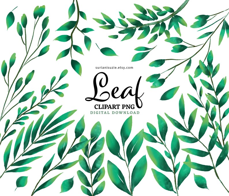 Green Leaf Cliparts PNG Greenery Botanical Bundle Foliage - Etsy