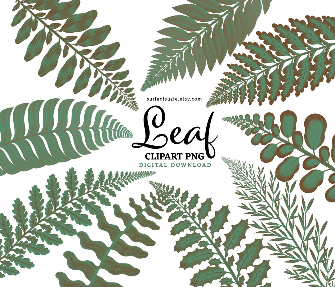 Green Leaf Cliparts PNG, Greenery Botanical Bundle, Foliage, Planner ...