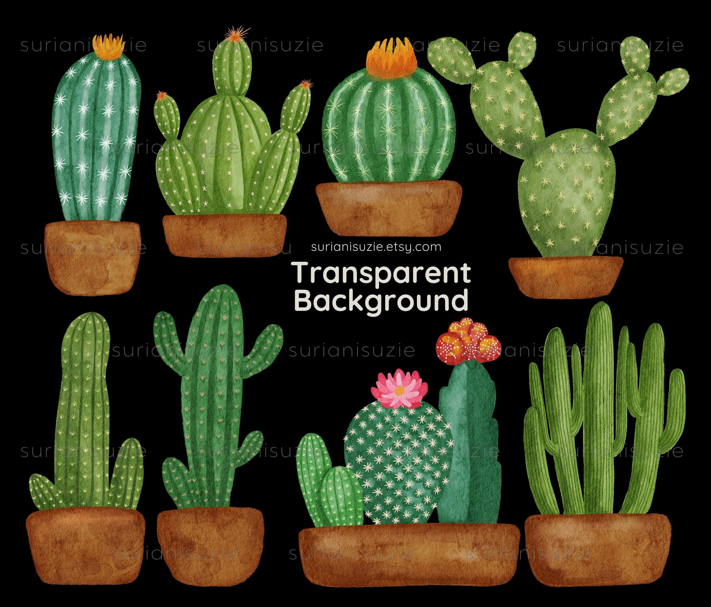 Watercolor Cactus Clipart: Hand-drawn PNG Illustrations (digital ...