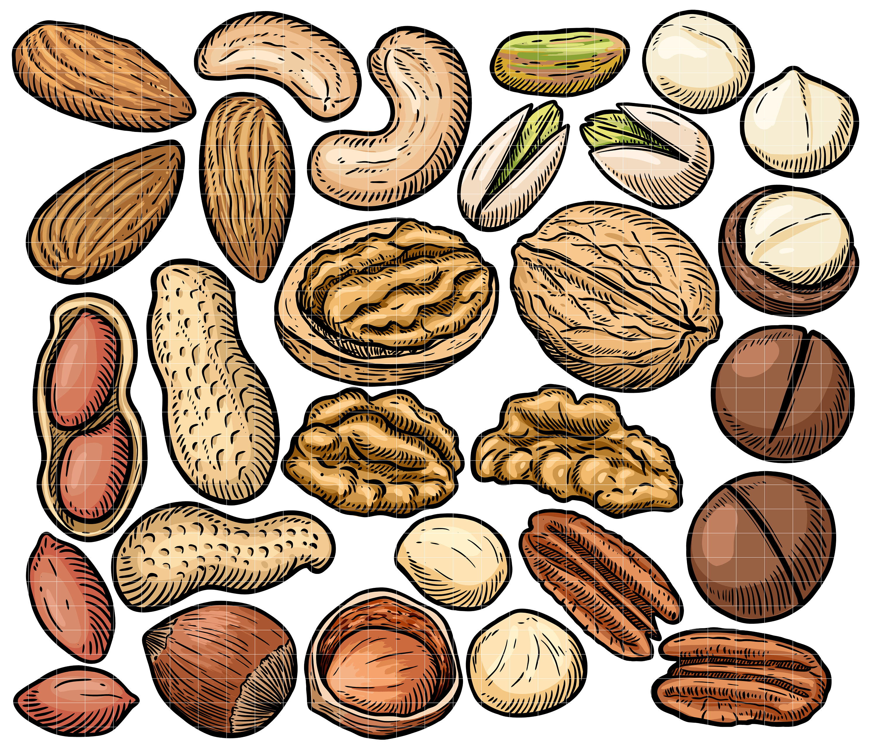 Nuts Cliparts, PNG, SVG, EPS Vector Graphics, Different Types of Nuts Clip Art, Hand Drawn ...