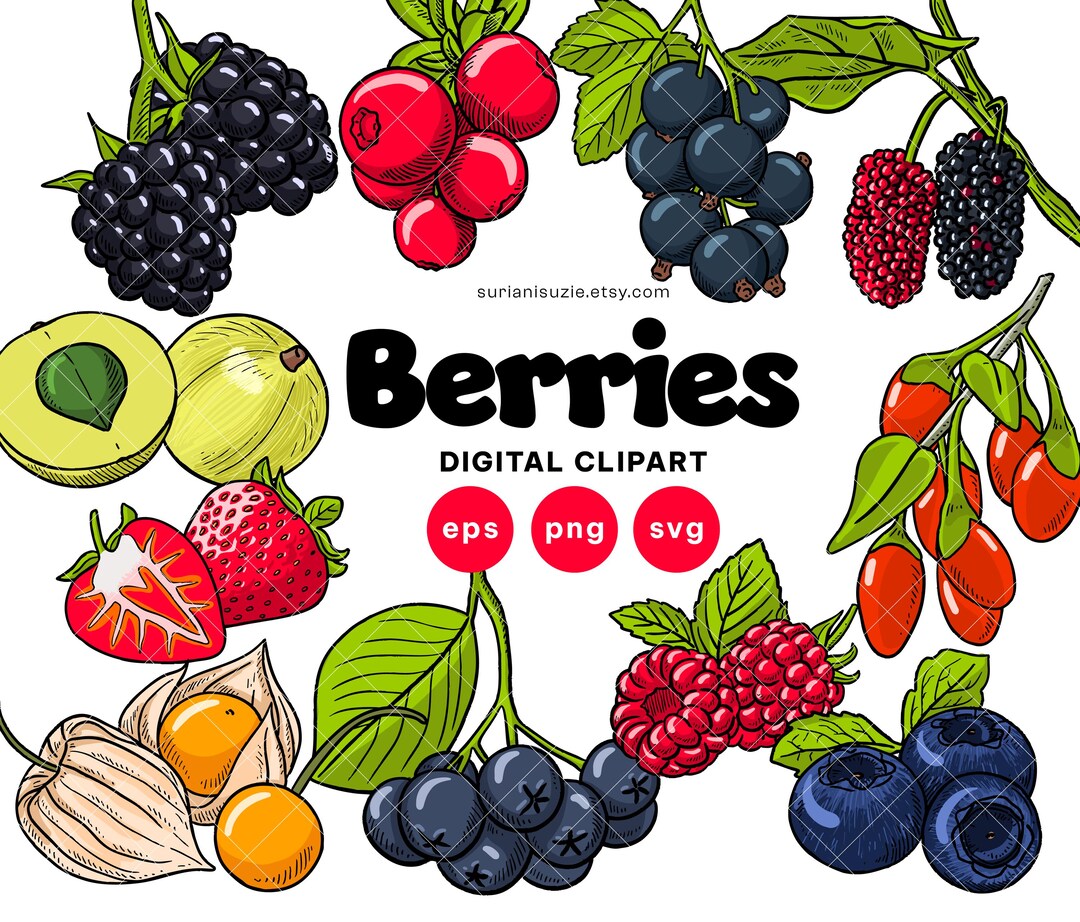 Berries Digital Clipart Illustrations, Hand Drawn Berry Fruits Vector ...