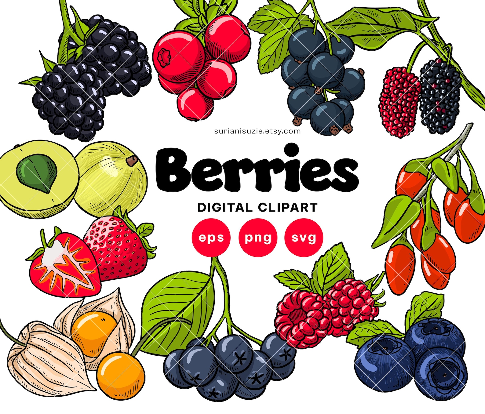 Berries Digital Clipart Illustrations, Hand Drawn Berry Fruits Vector ...