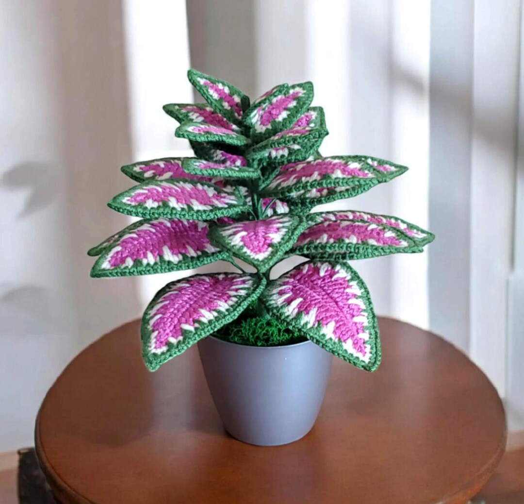 Crochet Coleus Plant, Handmade Crochet Plant, Home Office Decoration ...