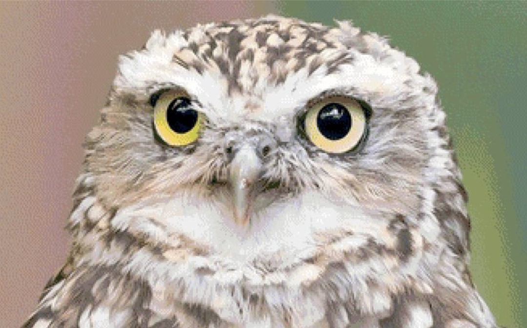 Cross Stitch Pattern PDF File Cross Stitch - Etsy