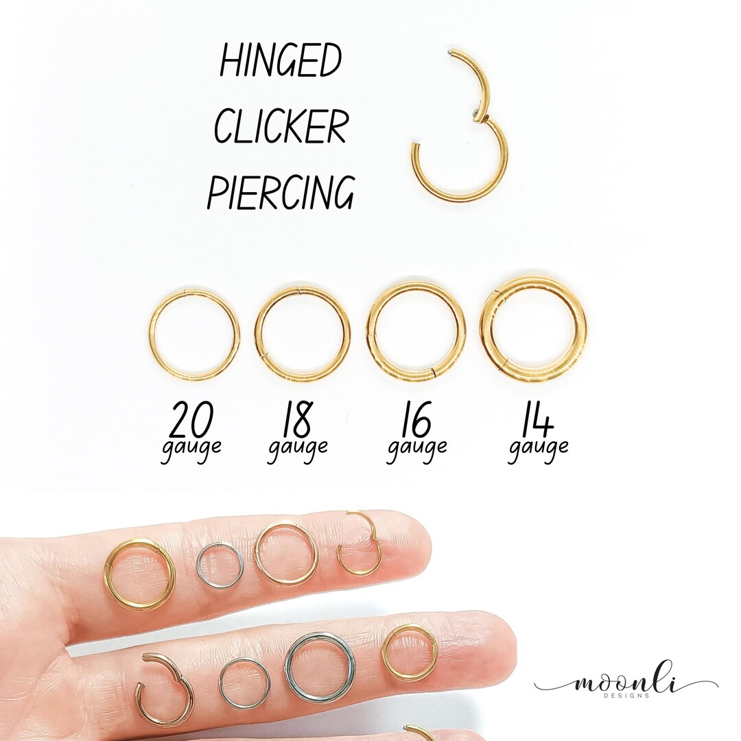 Hinged Hoop, Clicker Piercing, Segment Ring, Bose Ring, Ear Piercing ...