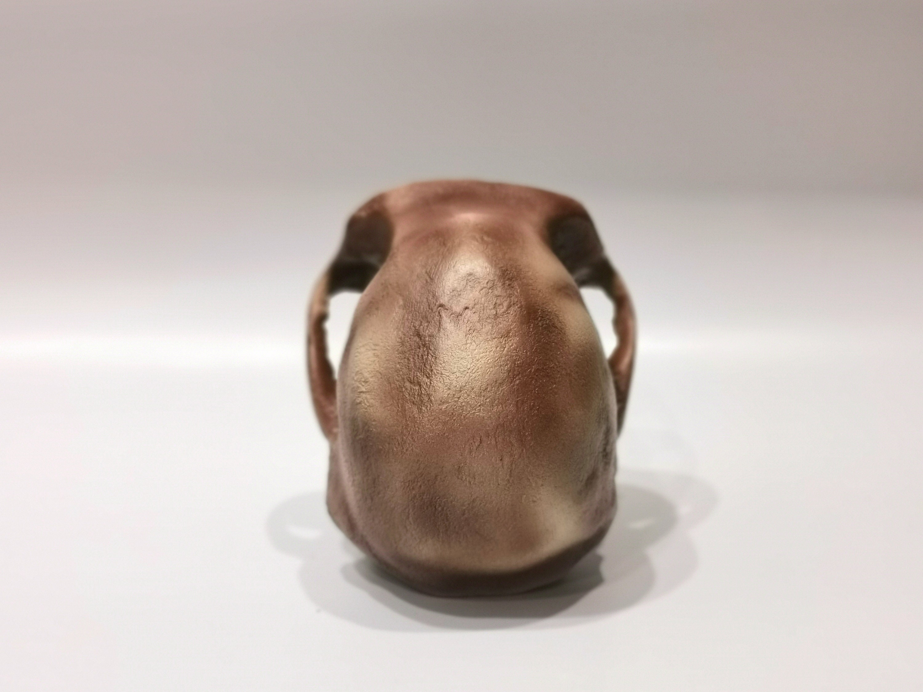 Australopithecus Africanus Skull Replica Full-size 3d Printed - Etsy UK