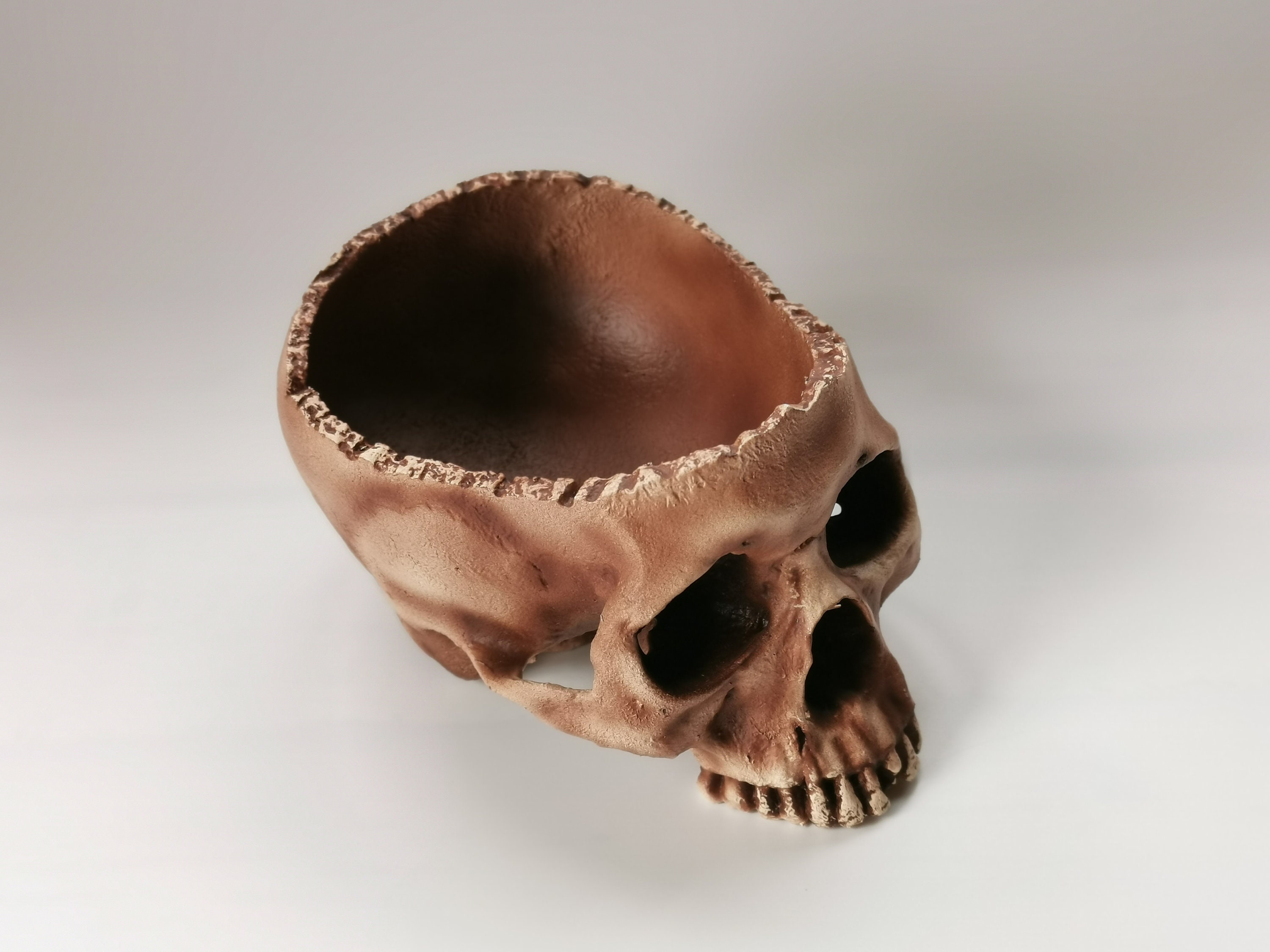 Skull Planter, Human Skull Bowl, Skeleton Bowl, Skull Decoration, Skull ...
