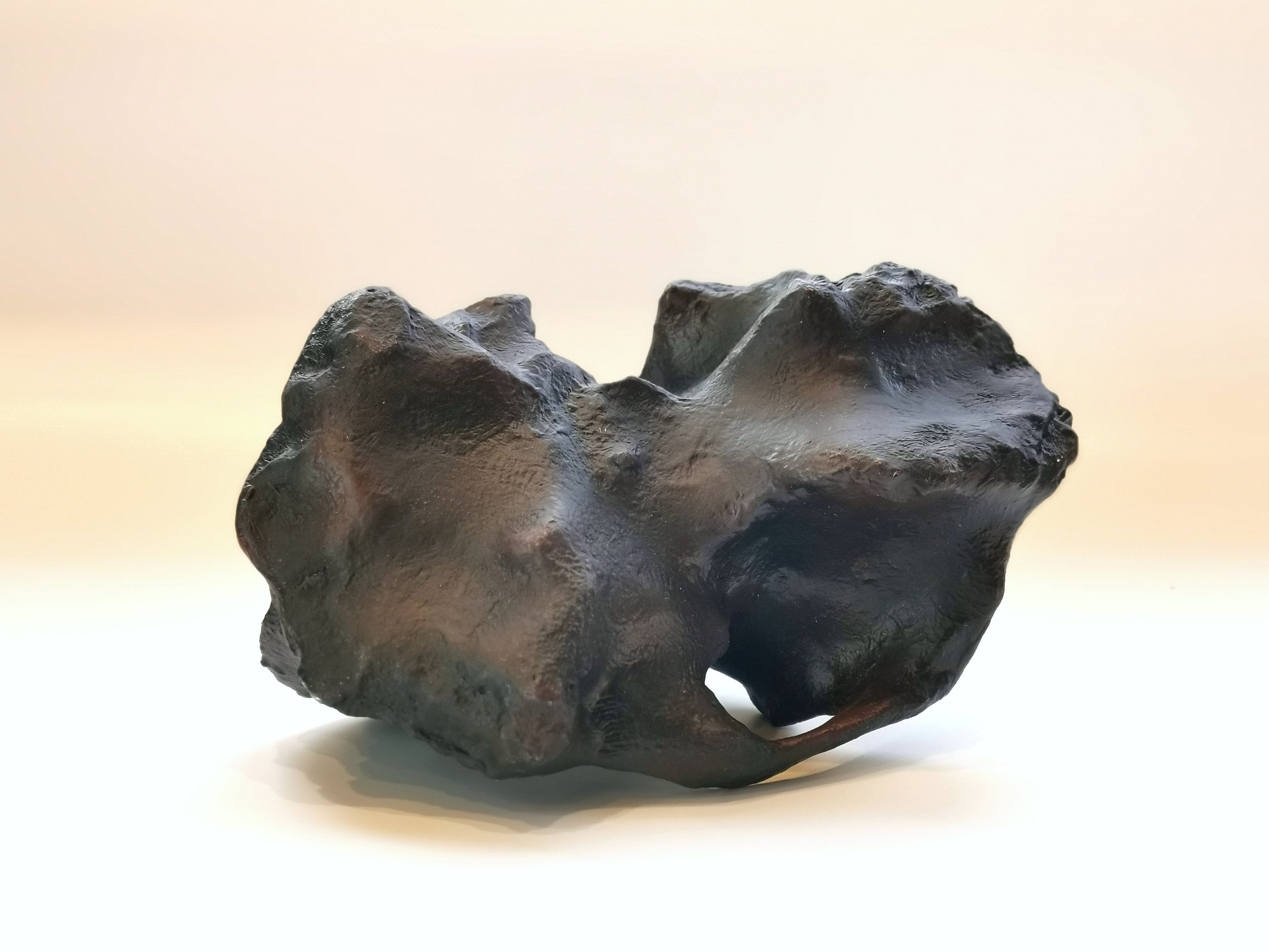 Paranthropus Aethiopicus Skull Replica Full-size 3d Printed - Etsy