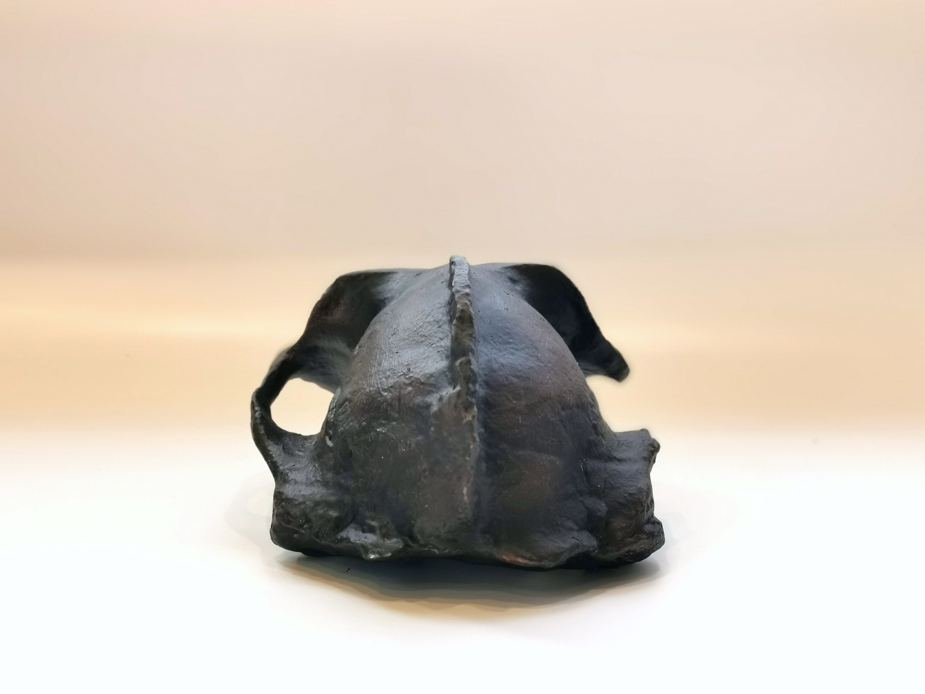 Paranthropus Aethiopicus Skull Replica, Prehistoric Fossil Collection ...