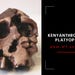 Homo Naledi Skull Replica of DH1 Find, Prehistoric Fossil Collection ...