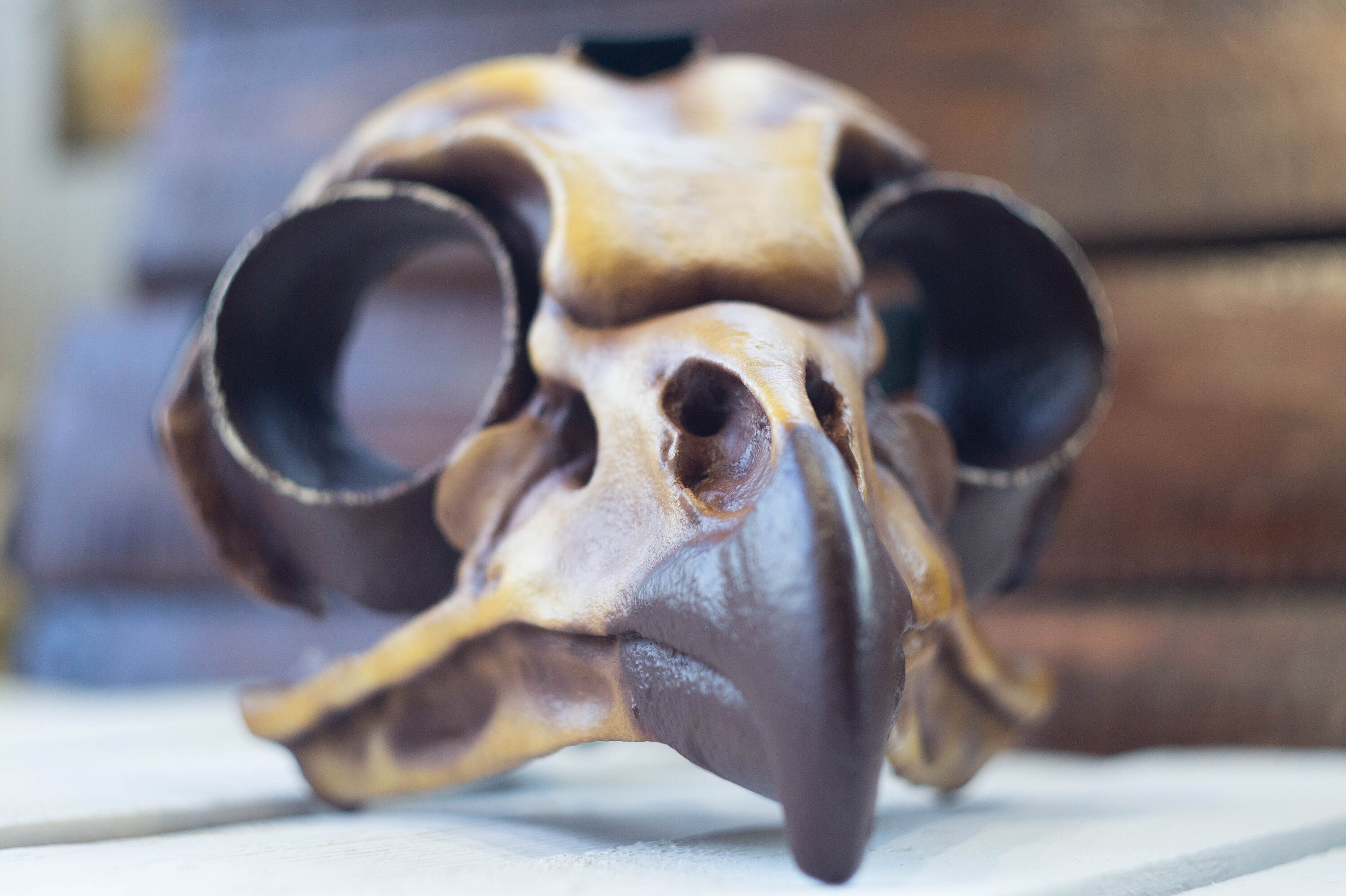 Owl Skull Mask Full Face Lightweight 3d Printed Horror Mask - Etsy