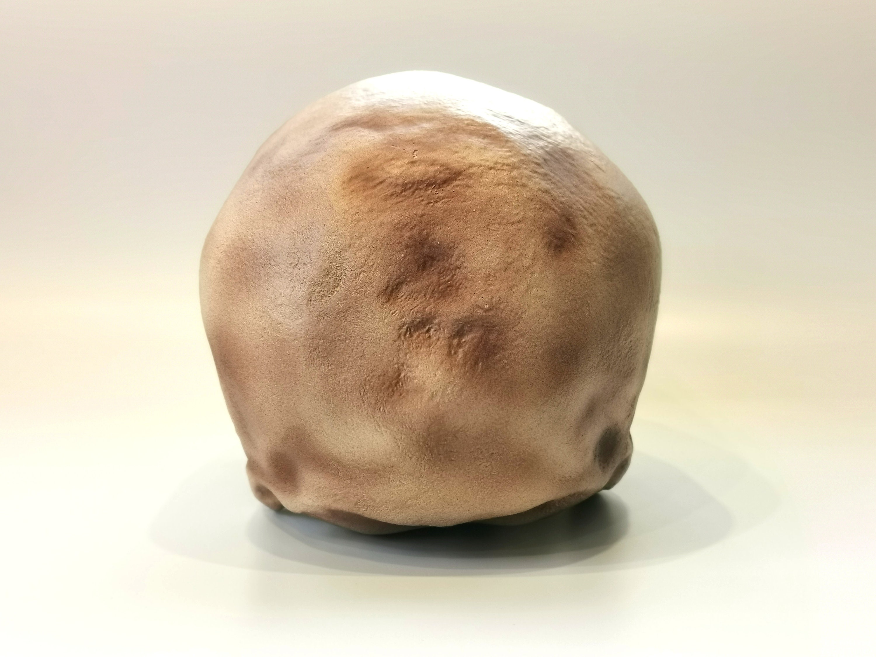 Homo Sapiens Cro-magnon Skull Replica Without Jaw, Prehistoric Fossil ...