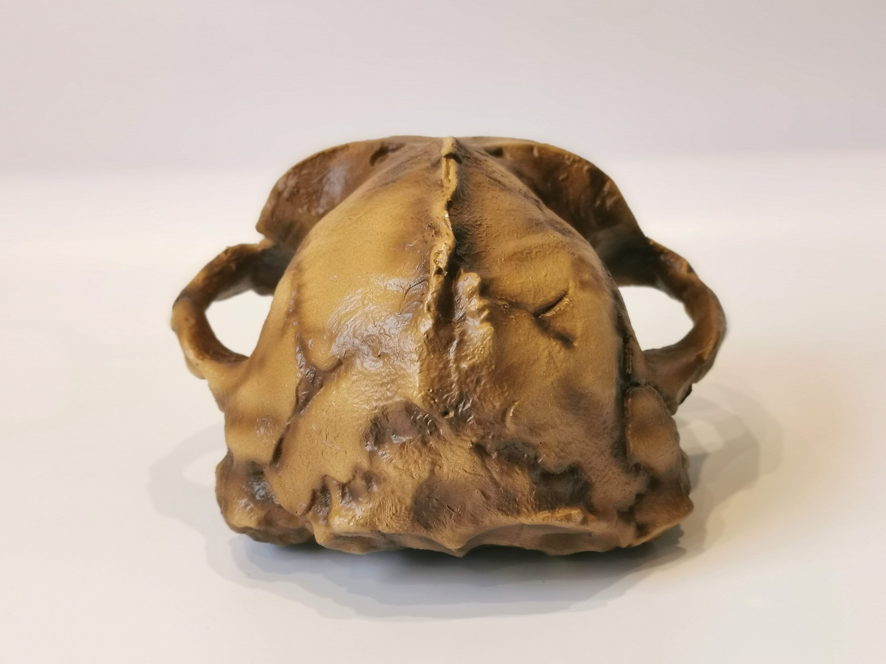 Paranthropus Boisei Skull Replica Full Size 3d Printed Hominid Skull