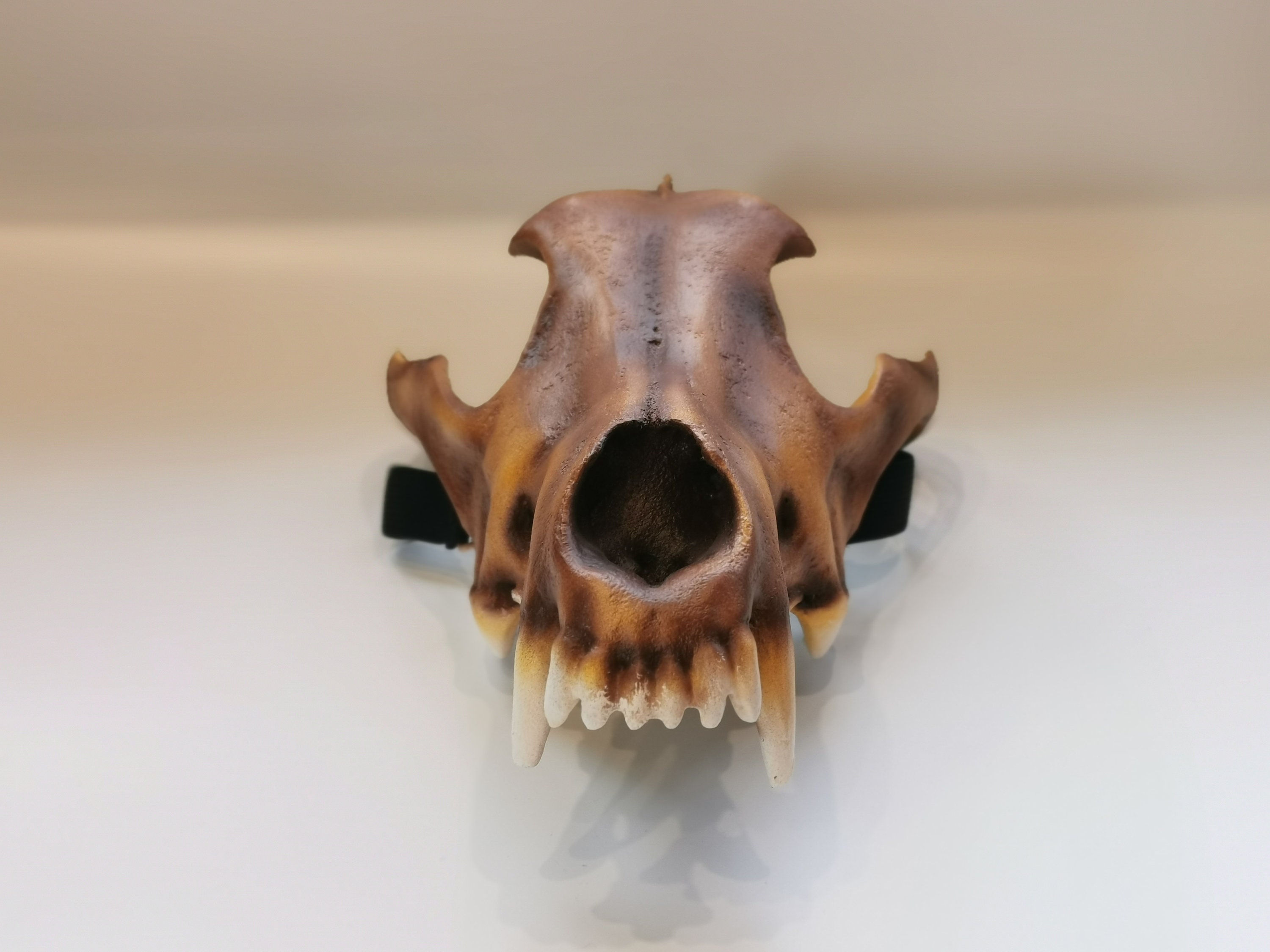 Wolf Head Mask, Realistic Skull Mask, Wolf Mask, Resin Skull Mask ...