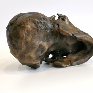 Homo Naledi "neo" Skull Replica LES 1, 1:1 Life-size Fossil Model From ...
