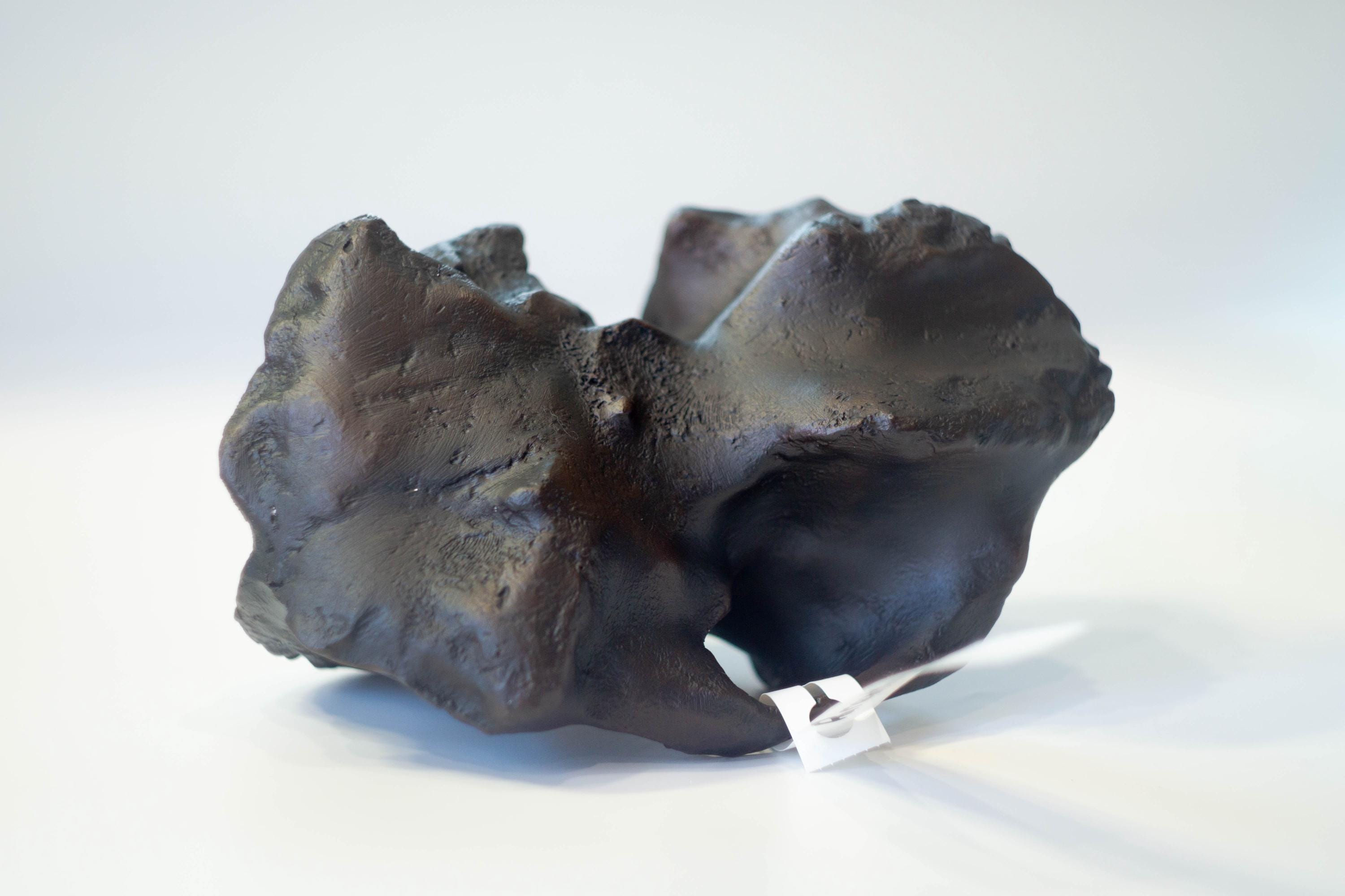 Paranthropus Aethiopicus Skull Replica, Prehistoric Fossil Collection ...