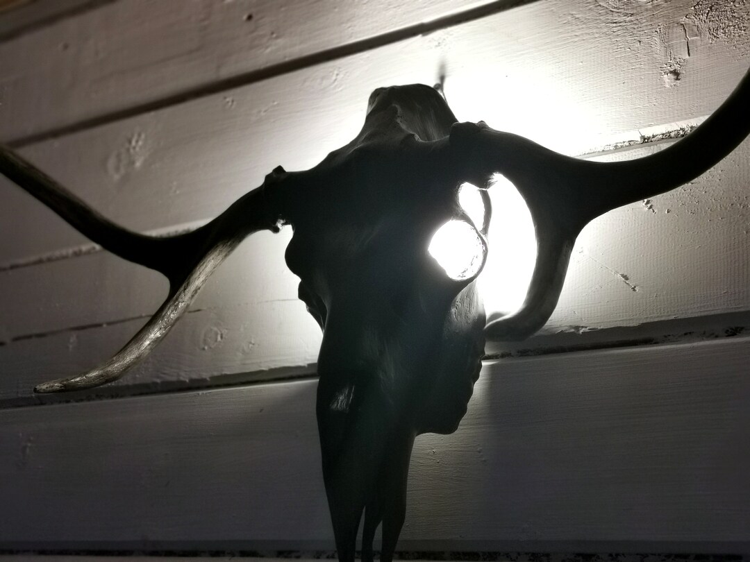 Deer Skull Lamp With Horns, Realistic Glowing Skull Light With Large ...
