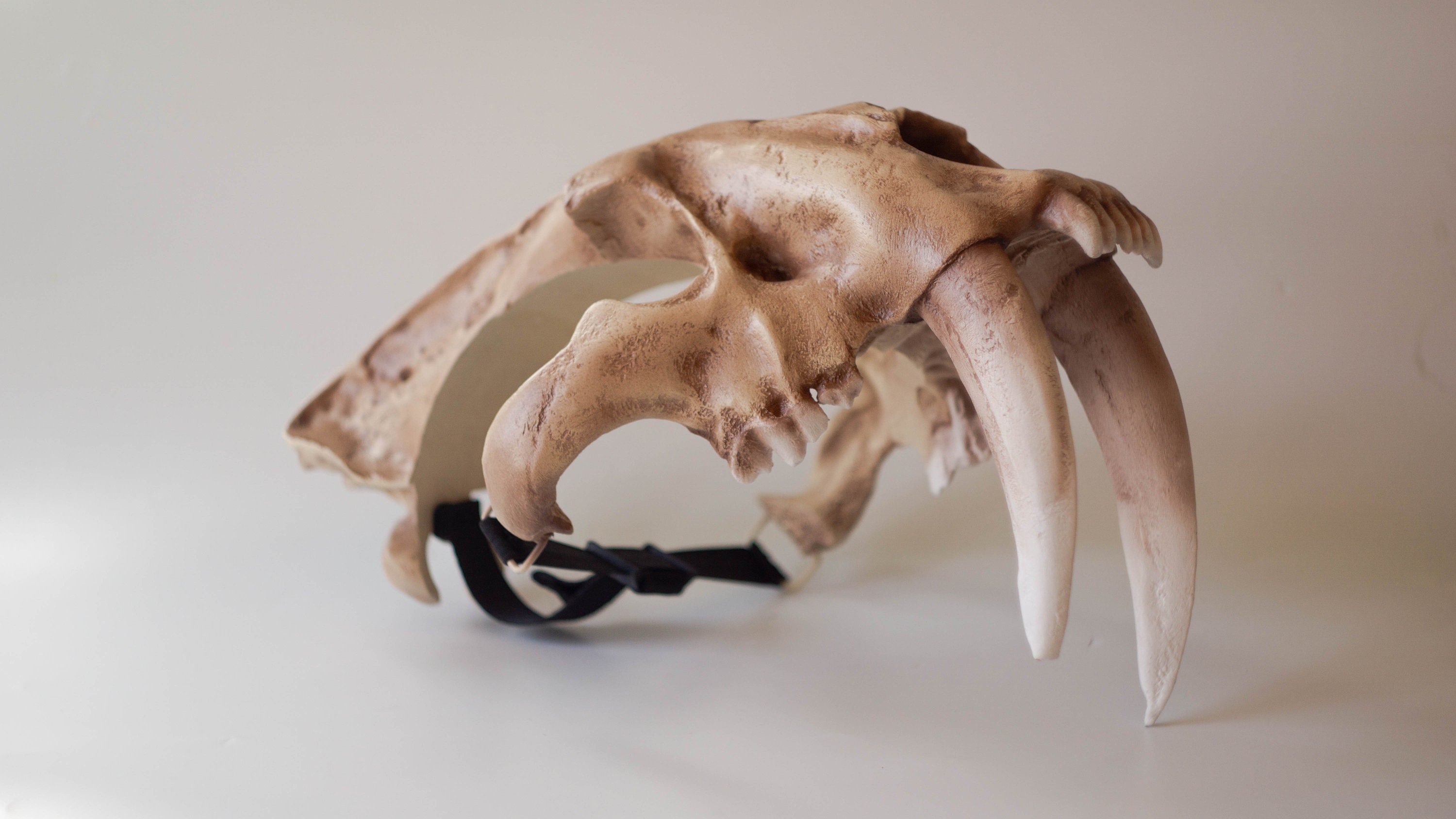 Realistic Sabertooth Tiger Skull Mask – 3d-printed PETG Helmet for ...