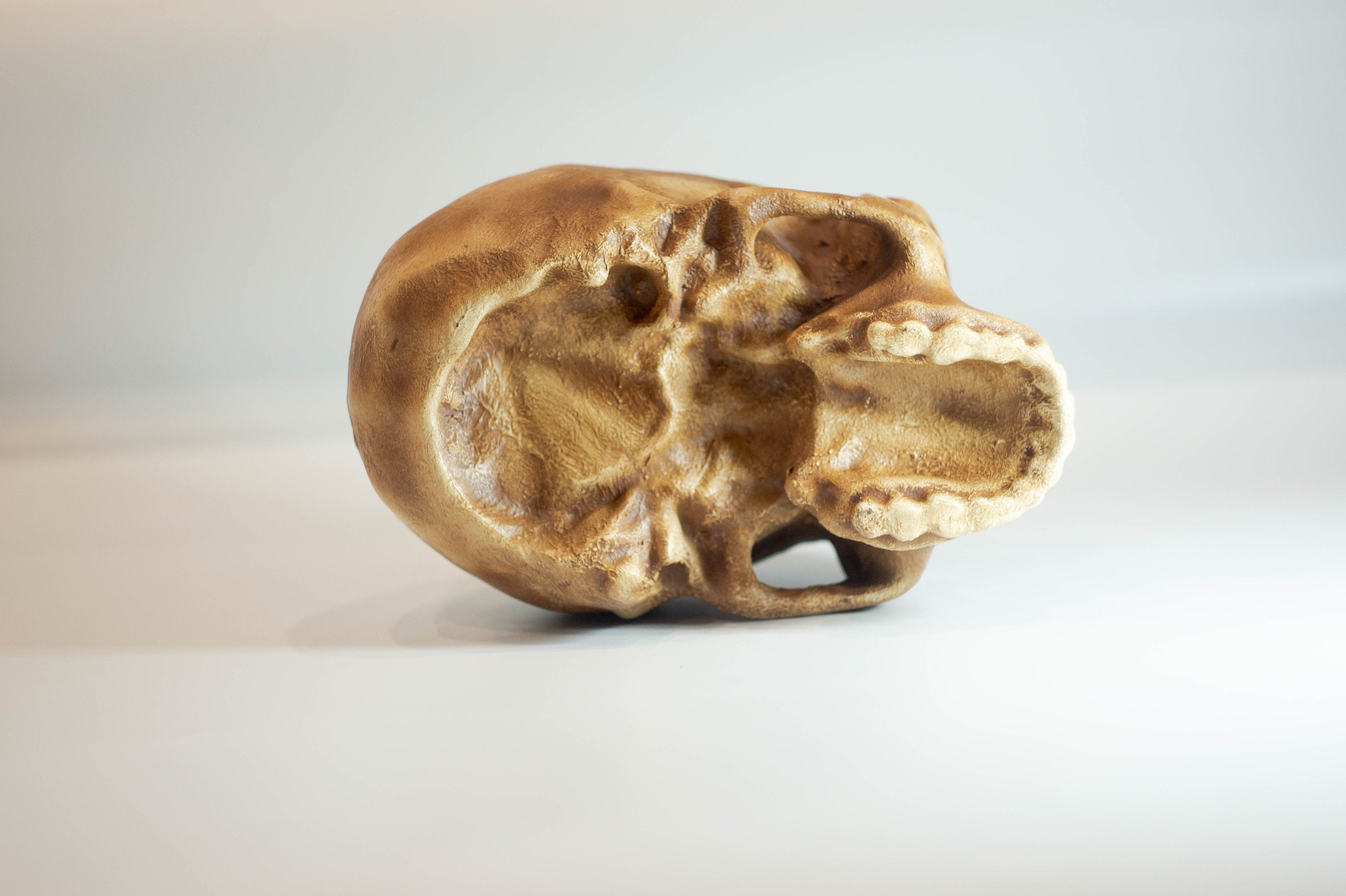 Homo Neanderthal Steinheim Man Skull Replica, Full-size 3d Printed ...