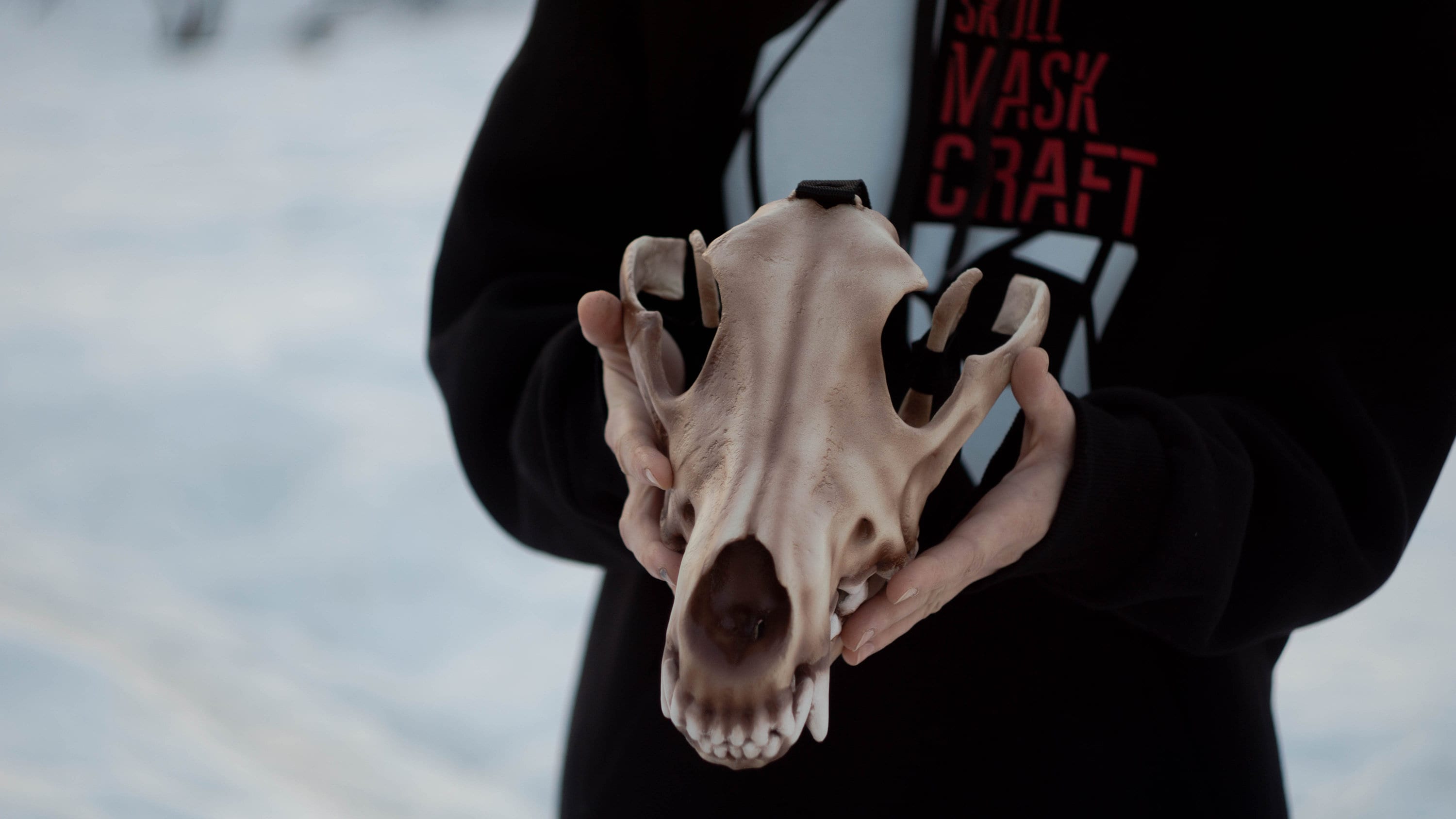 Wolf Skull Mask Animal Skull Mask Realistic Wolf Mask Resin Skull Mask ...