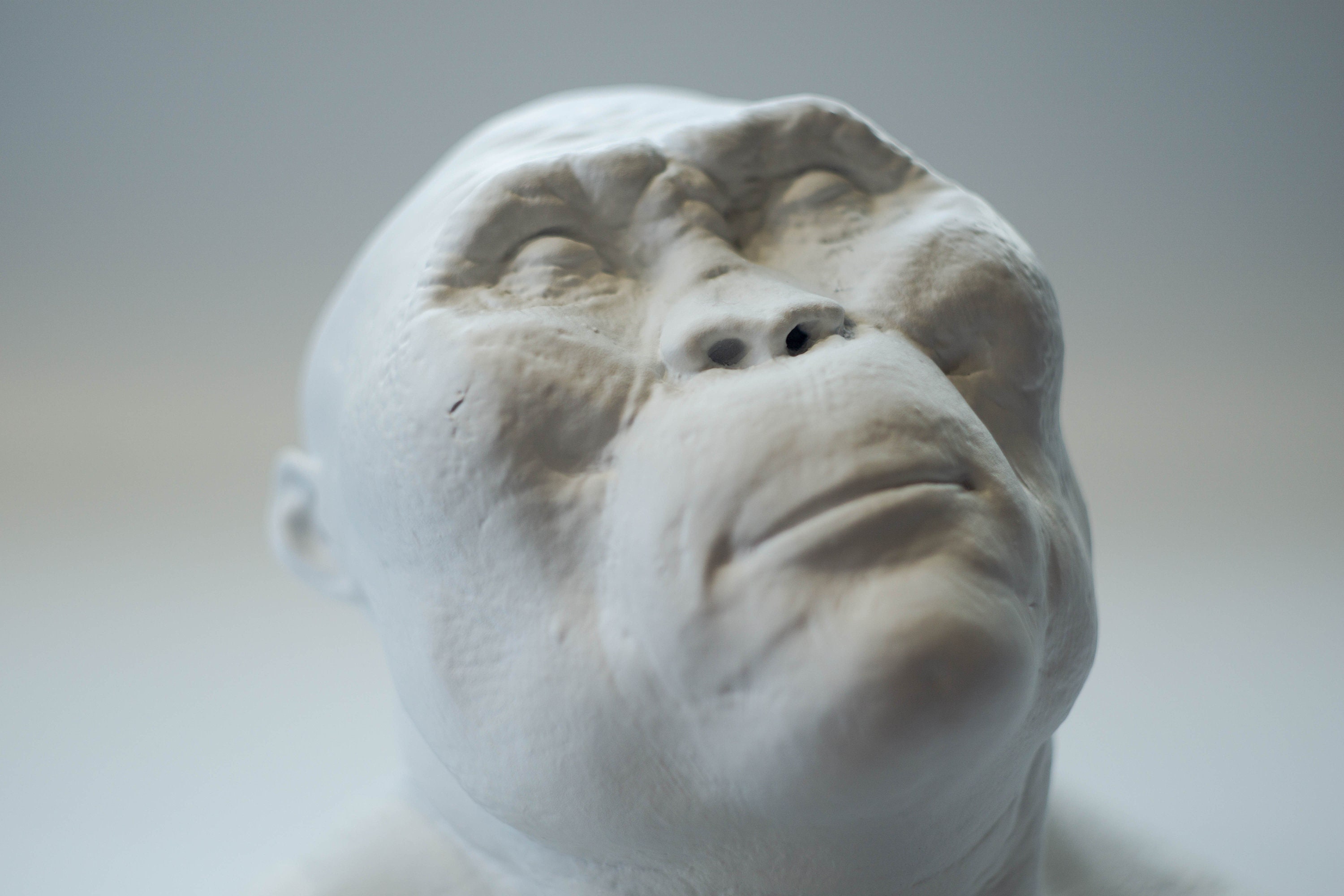 Paranthropus Boisei Resin Bust Statue, Museum Quality Anthropology ...