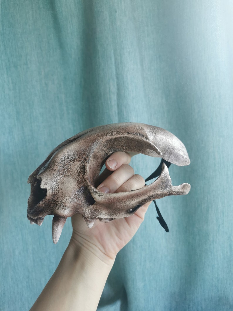 Cat Skull Mask Lightweight 3d Printed Cosplay Helment Felis - Etsy