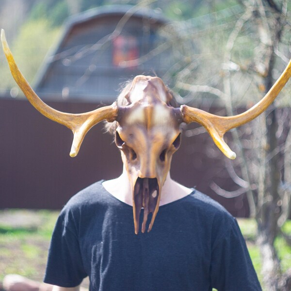 Deer Skull Mask - Etsy