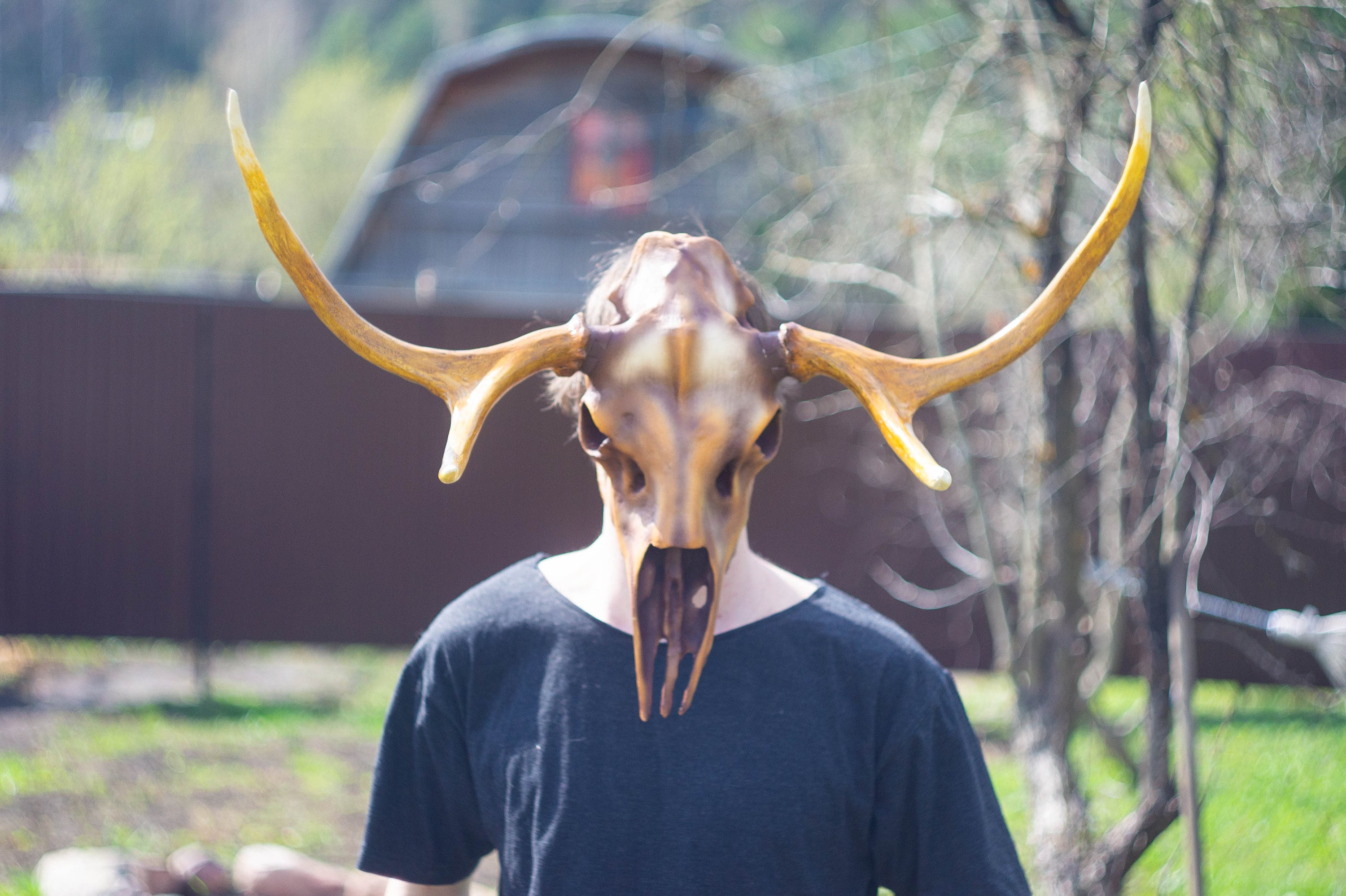 Realistic Deer Head Mask