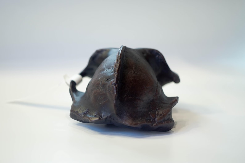 Paranthropus Aethiopicus Skull Replica, Prehistoric Fossil Collection ...
