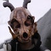 Homo Naledi Skull Replica of DH1 Find, Prehistoric Fossil Collection ...