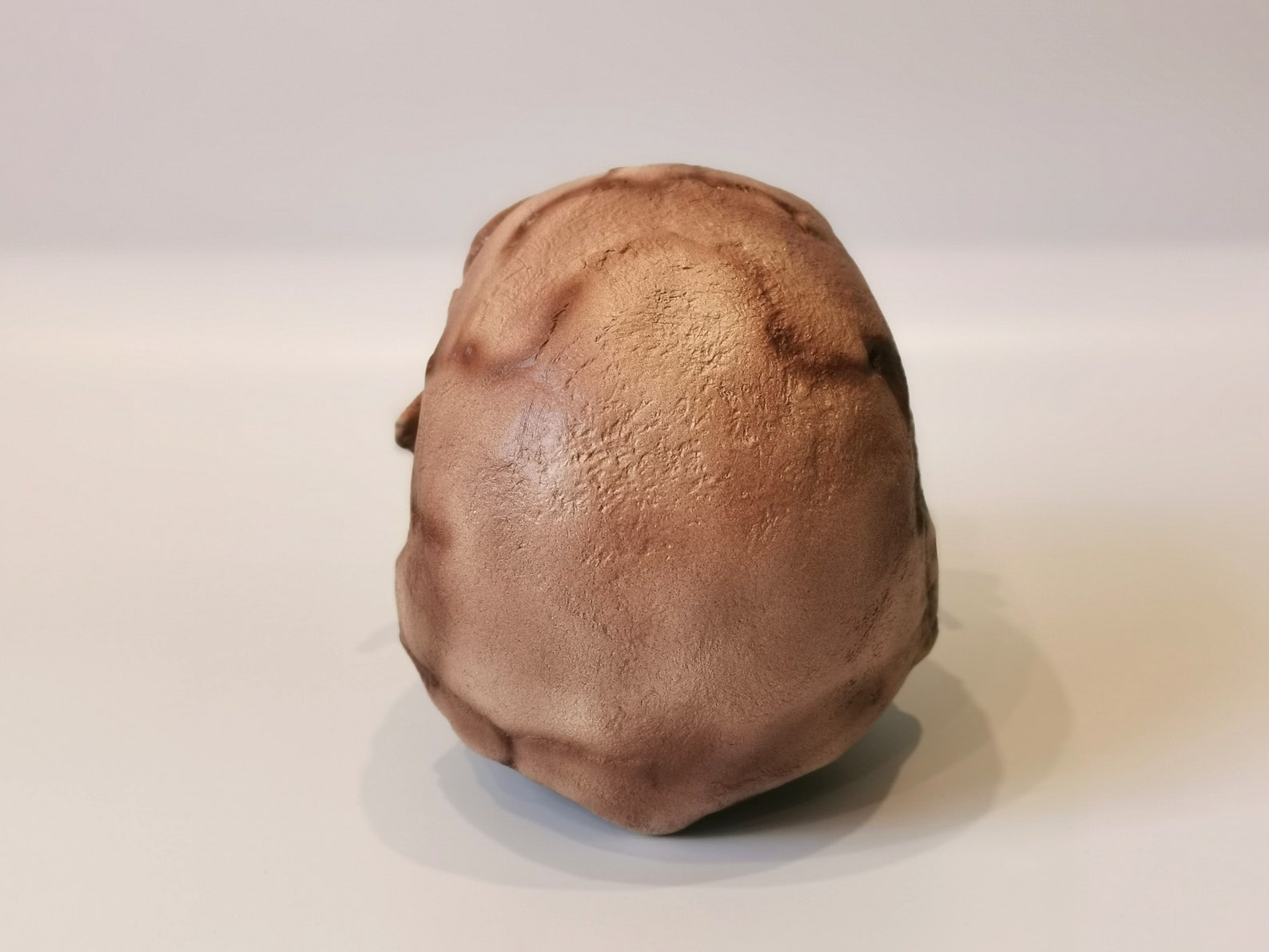 Homo Naledi Skull Replica of DH1 Find, 1:1 Life-size Fossil Model From ...
