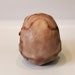 Homo Naledi Skull Replica of DH1 Find, 1:1 Life-size Fossil Model From ...
