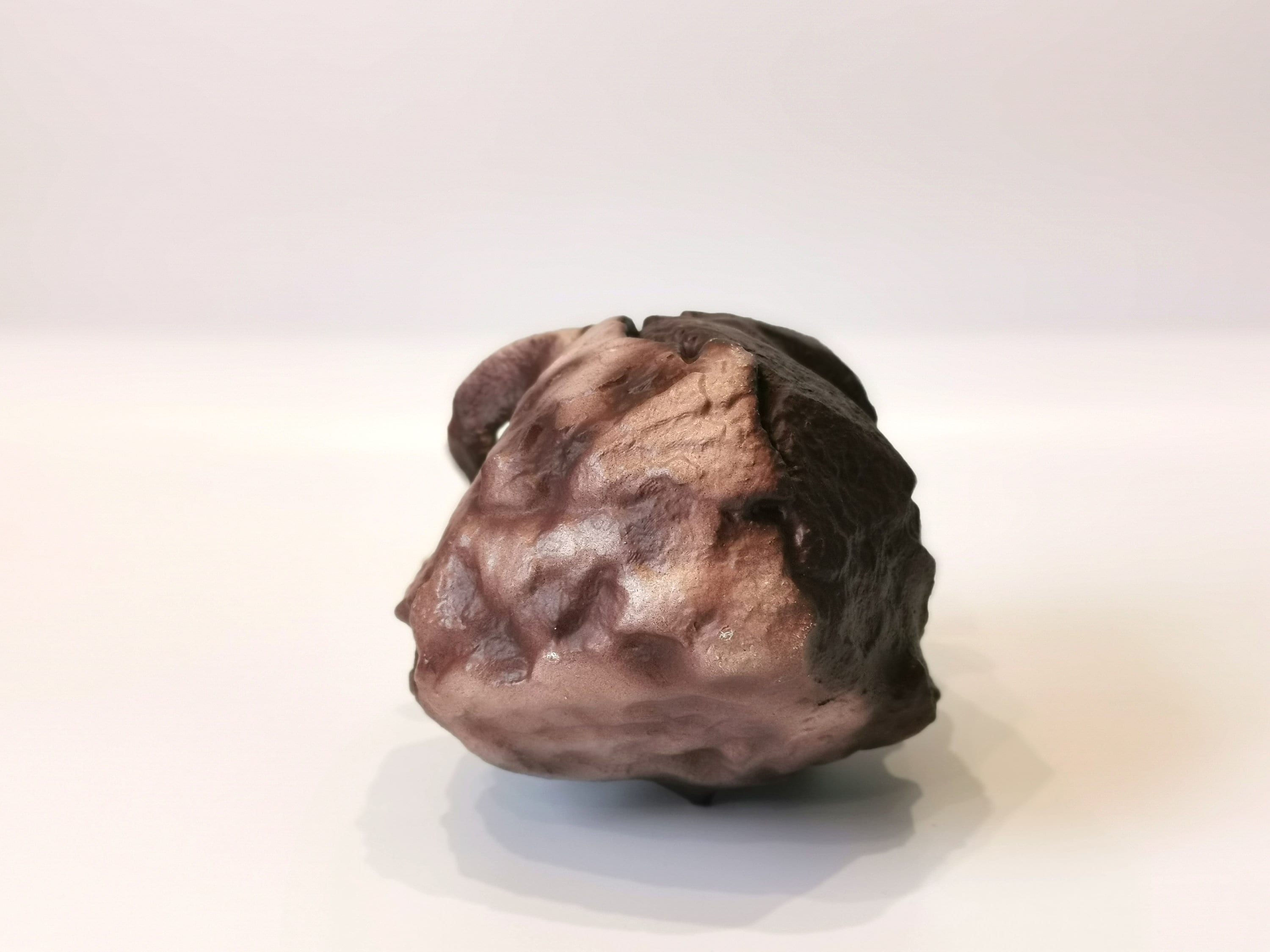 Kenyanthropus Platyops Skull Replica, Prehistoric Fossil Collection ...