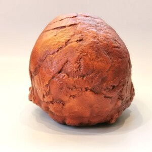 Homo Rudolfensis Skull Replica (KNM-ER), Prehistoric Fossil Collection ...