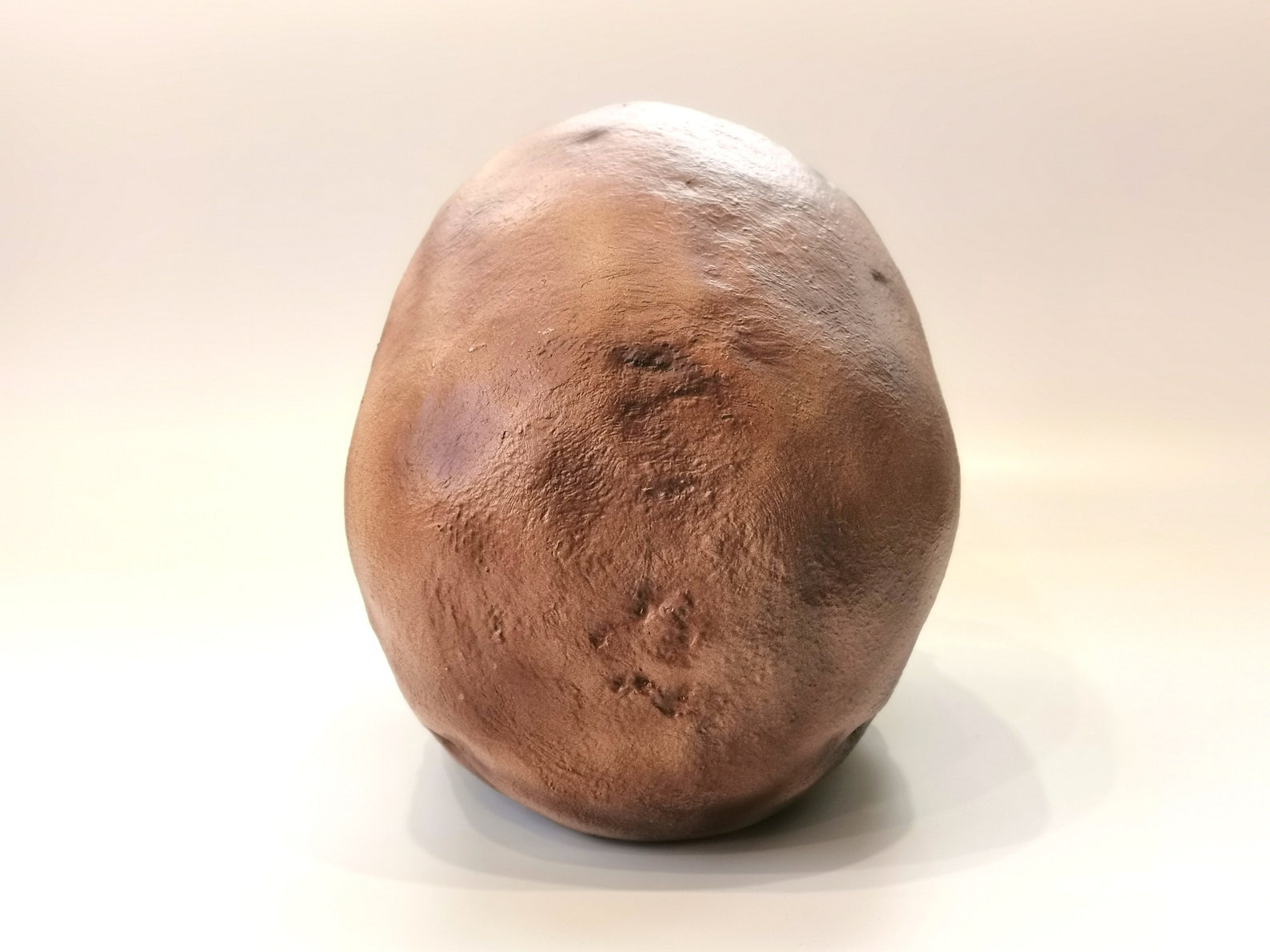 Homo Sapiens Cro-magnon Skull Replica, Prehistoric Fossil Collection ...