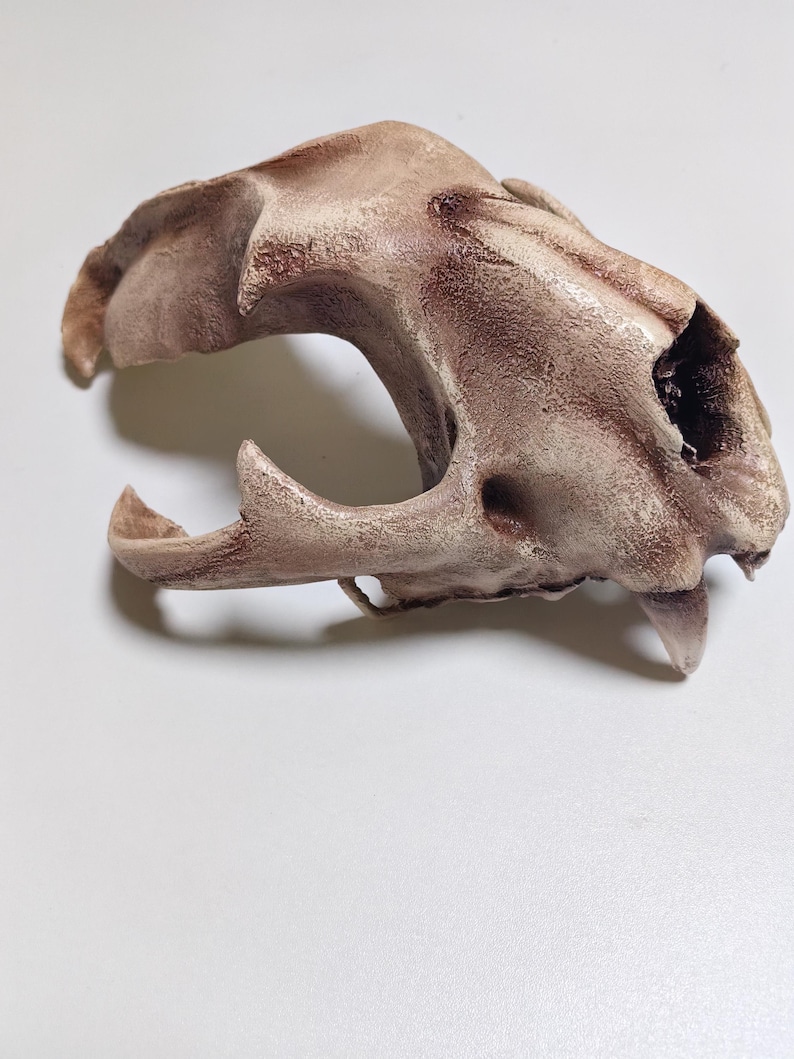 Lynx Skull Crown Mask – Realistic Animal Skull Helmet for Cosplay, LARP ...