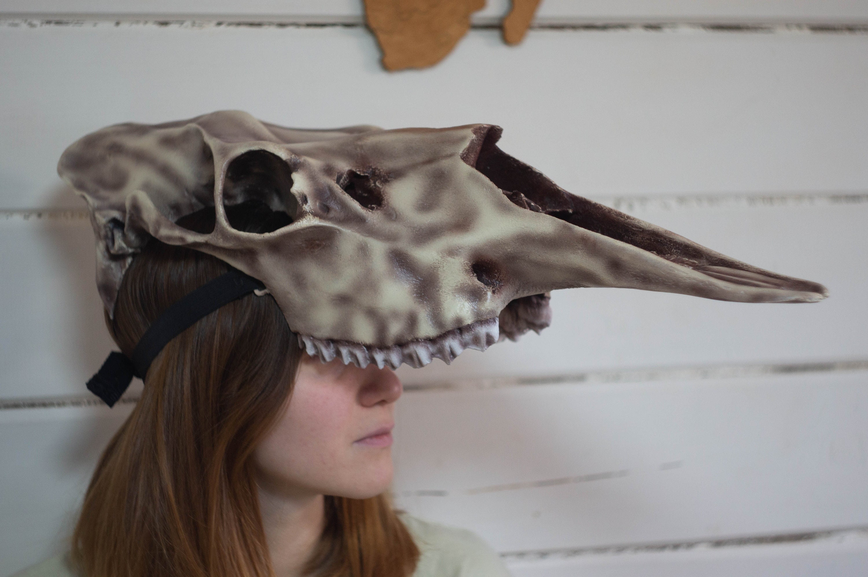 Moose Skull Helmet Lightweight 3d Printed Elk Mask - Etsy