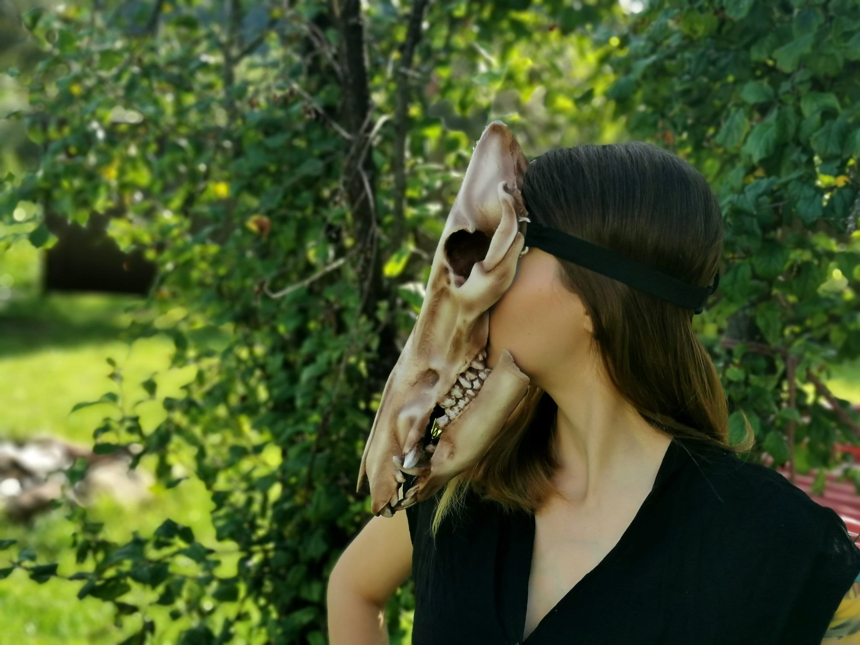 Boar Skull Mask Animal Skull Mask Viking Skull Mask Resin Skull Mask ...