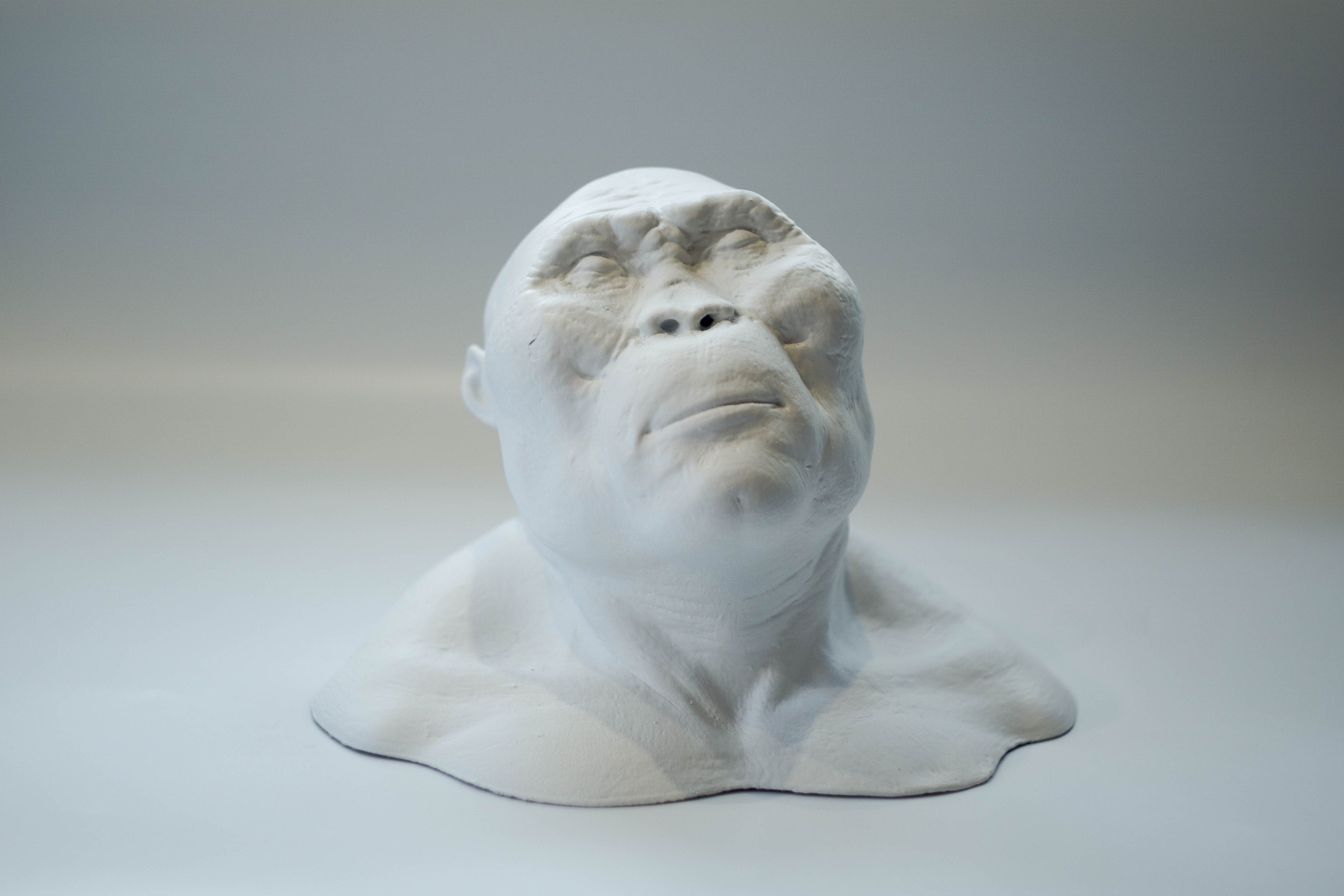 Paranthropus Boisei Resin Bust Statue, Museum Quality Anthropology ...