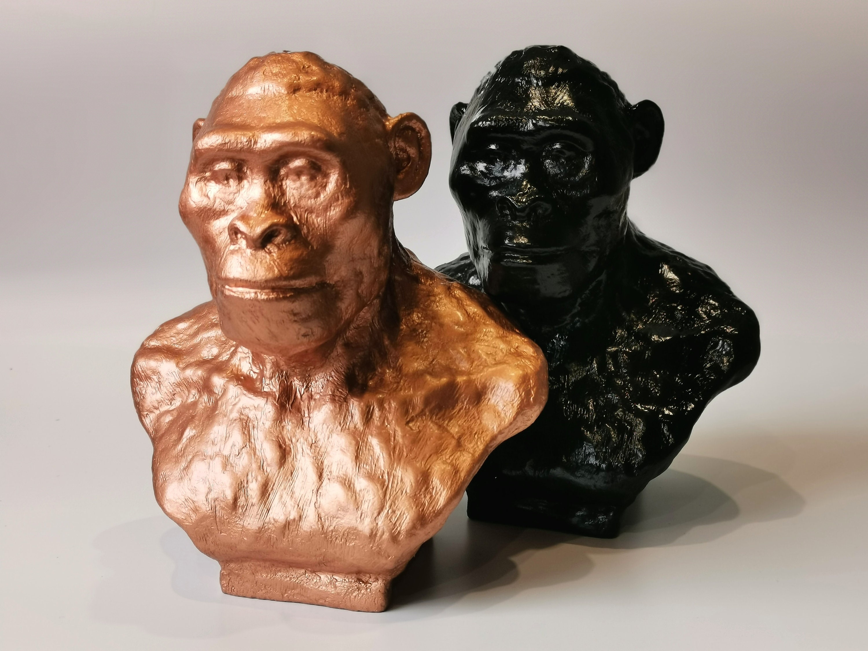 Australopithecus Africanus Resin Bust Statue, Museum Quality ...