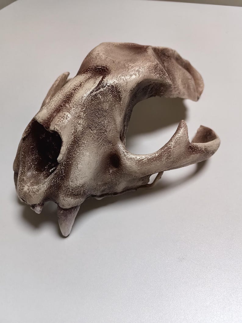 Lynx Skull Crown Mask – Realistic Animal Skull Helmet for Cosplay, LARP ...