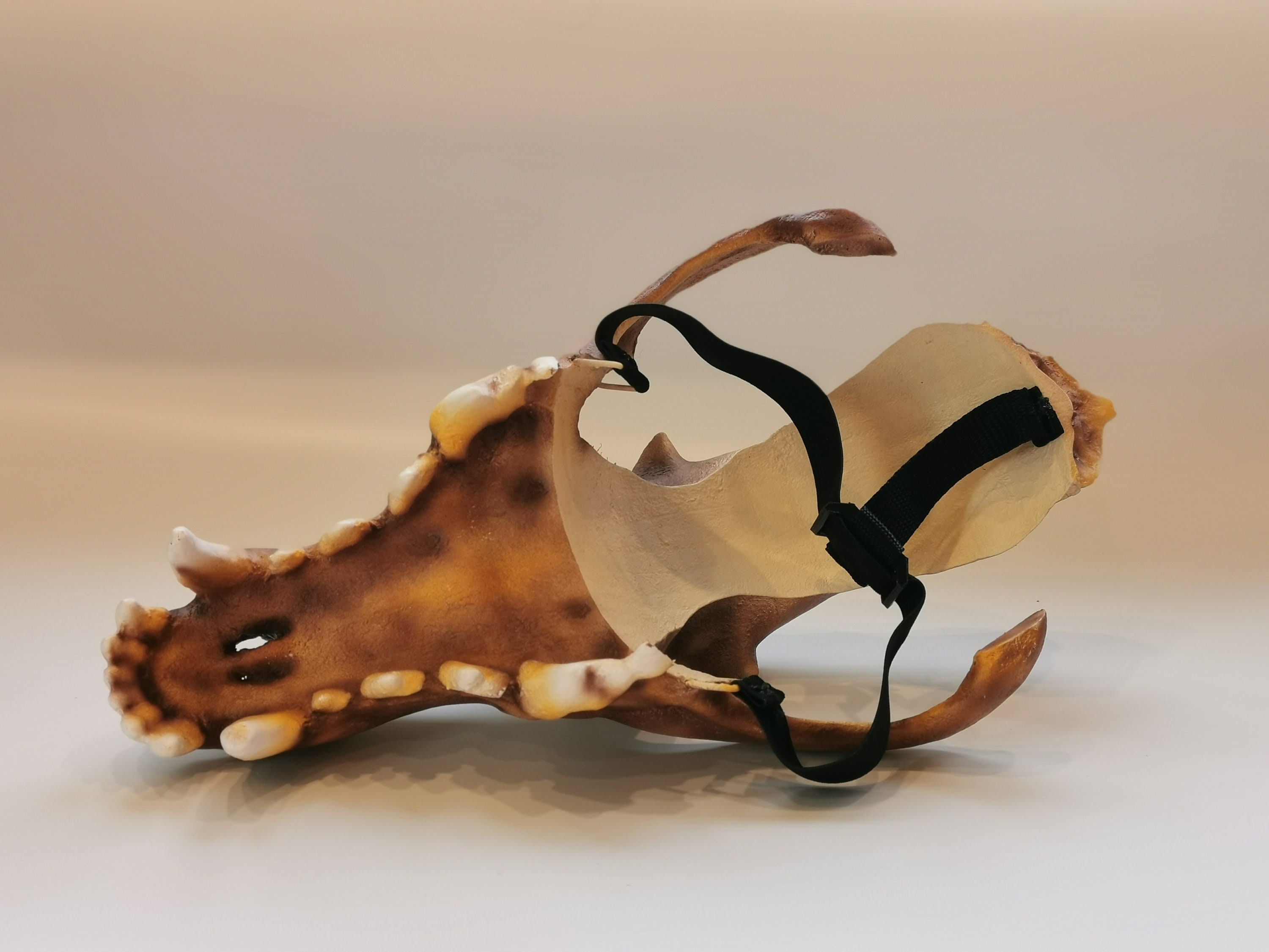 Wolf Head Mask, Realistic Skull Mask, Wolf Mask, Resin Skull Mask ...