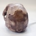 Homo Naledi Skull Replica Reconstruction, 1:1 Life-size Hominid Fossil ...
