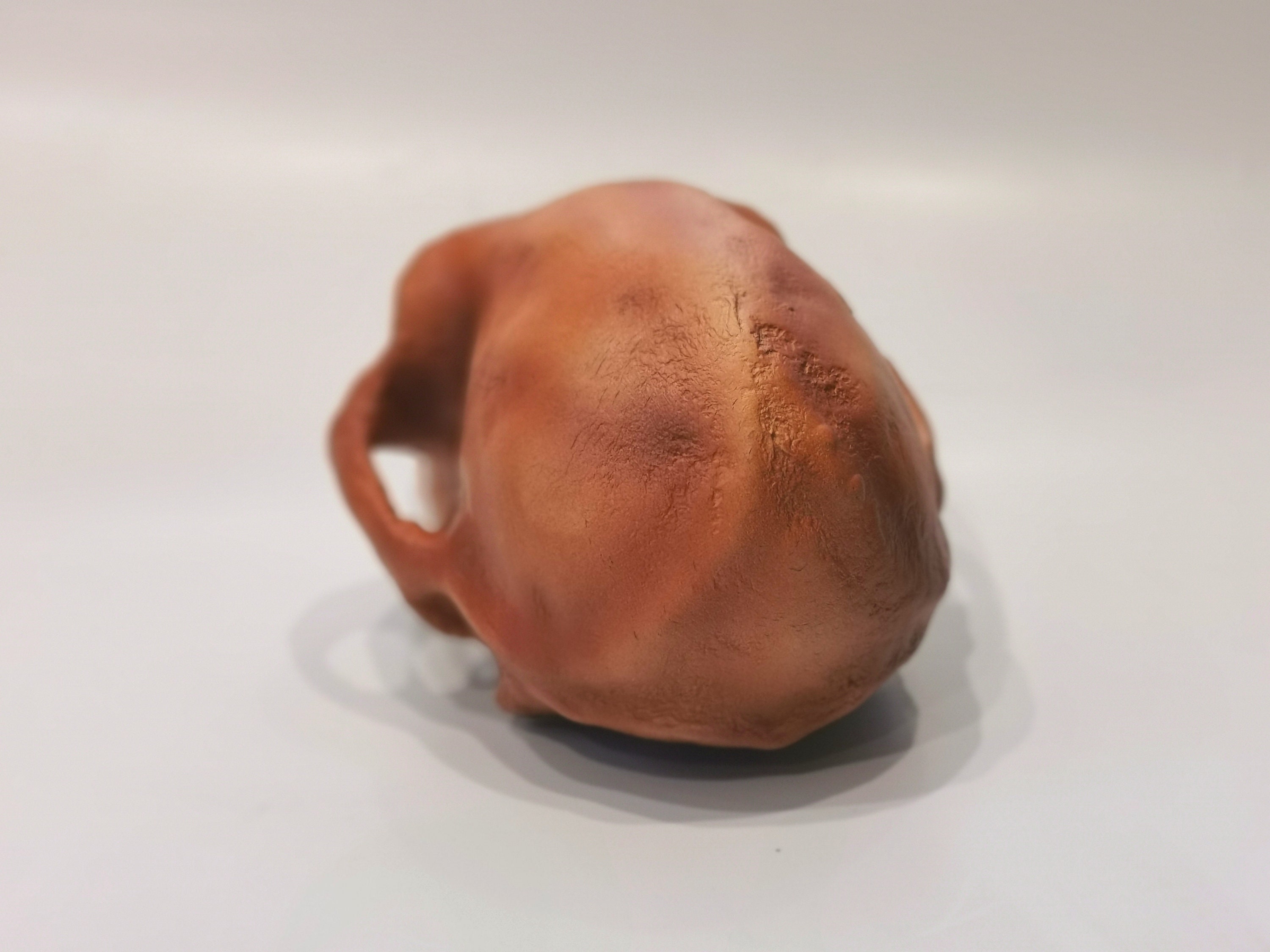 Australopithecus Africanus Skull Replica Full-size 3d Printed - Etsy