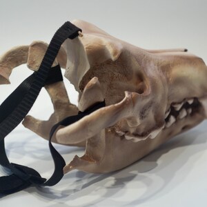Realistic Wolf Skull Mask, Handmade PETG Horror Costume for Halloween ...